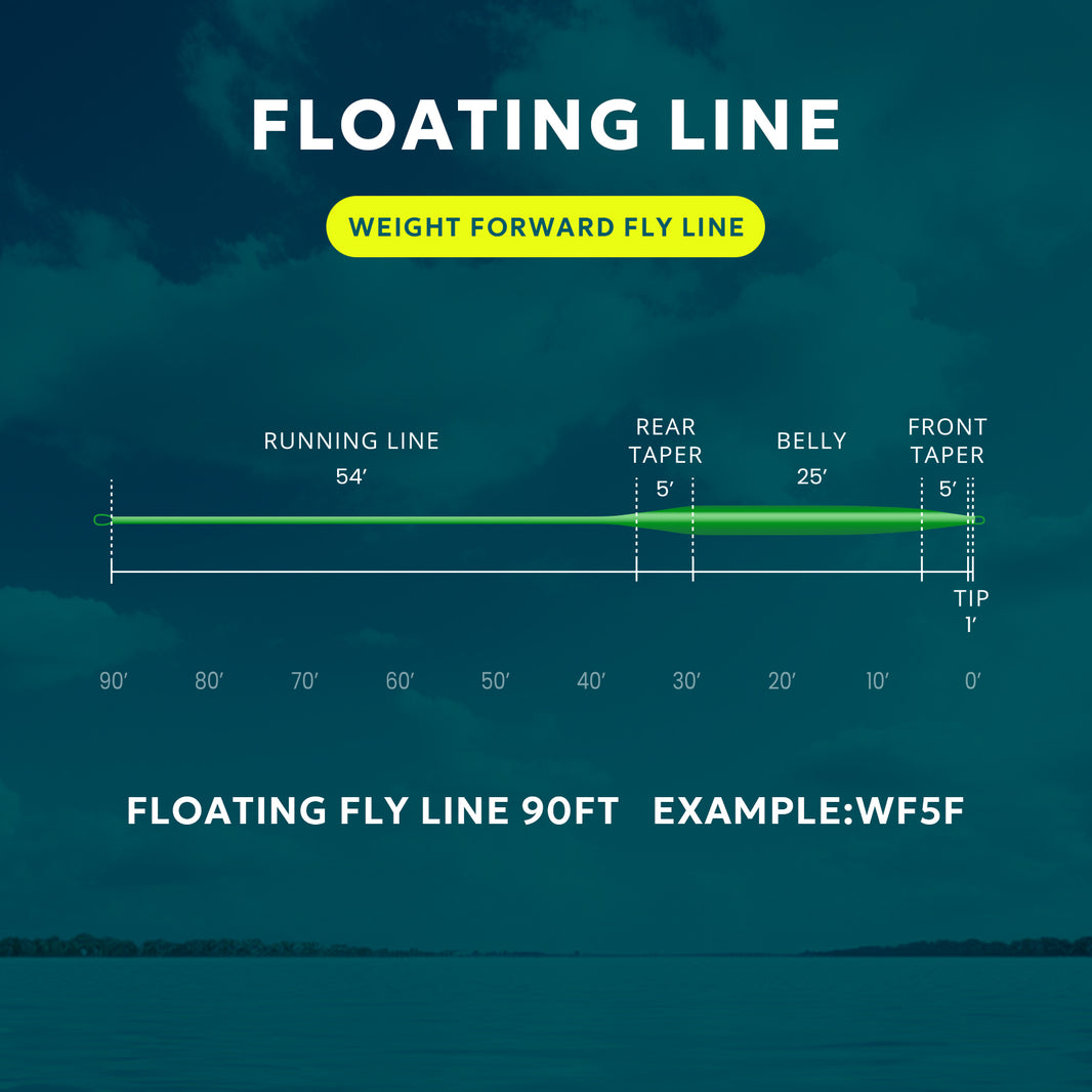 Fly Lines&Backing – SF